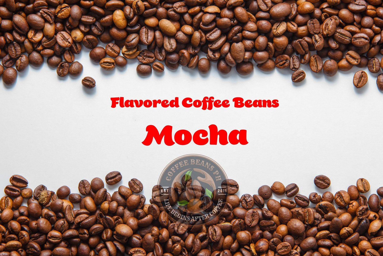 Mocha Flavored Coffee Beans Premium Blend - Coffee Beans PH | Home of ...