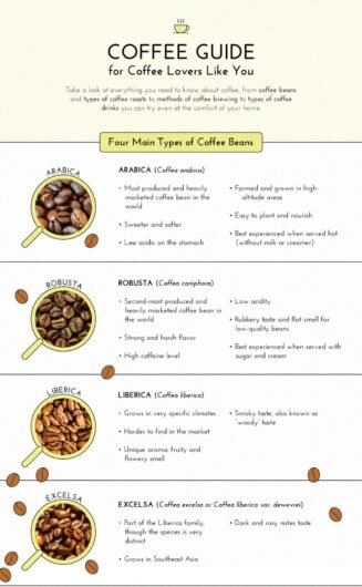 The Ultimate Guide to the Different Coffee Types